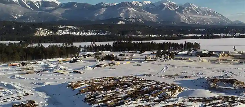 Domtar Posts CDP Score Gains Across All Categories